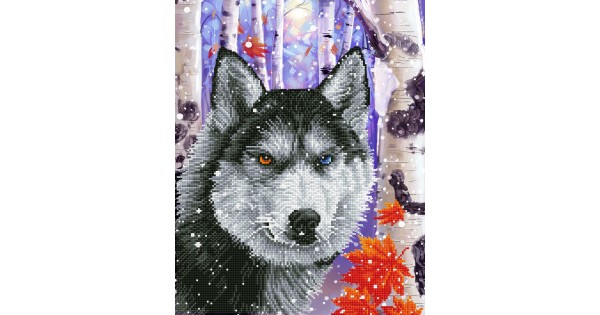 Forest Wolf - Diamond Art Kit - DD10.040 - Diamond Dotz®